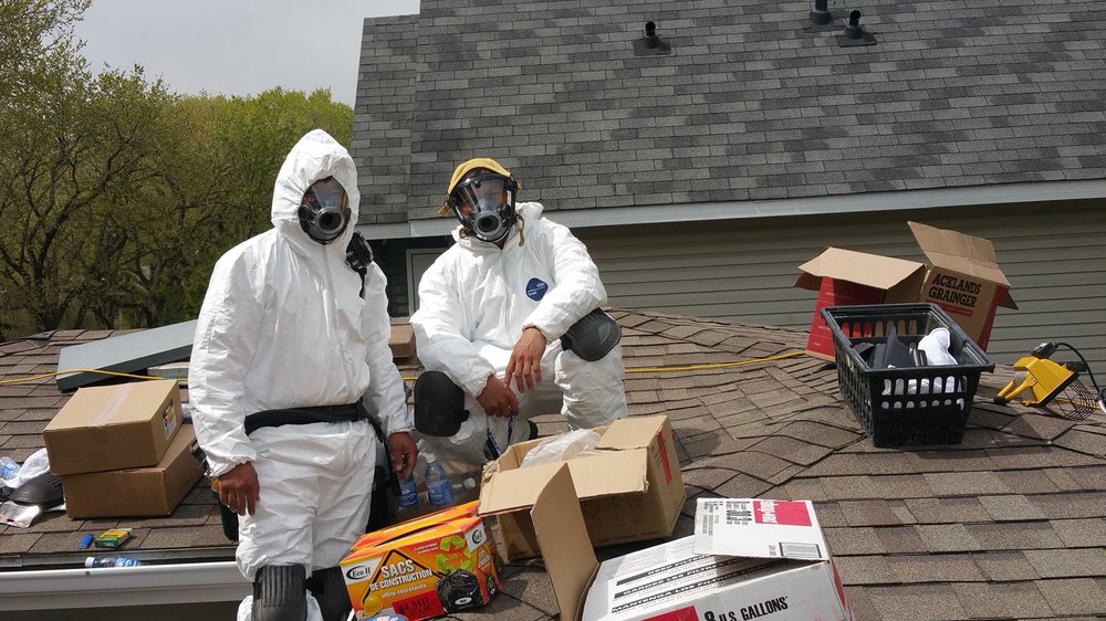 PEST ANIMAL REMOVAL ANNAPOLIS - Updated April 2025 - Request a Quote ...