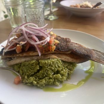 FIORITO - Updated May 2025 - 875 Photos & 630 Reviews - 5555 NE 2nd Ave ...