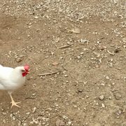 SUSON PARK - 129 Photos & 30 Reviews - Parks - 6059 Wells Rd, Saint ...