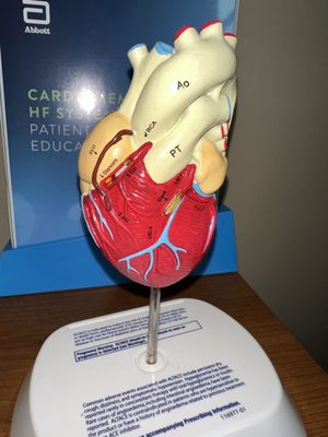 PREMIER CARDIOLOGY - Updated January 2026 - 34 Reviews - 520 Superior ...