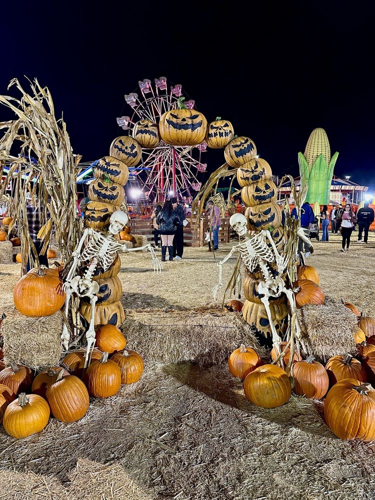 THE PUMPKIN FACTORY - Updated August 2025 - 148 Photos & 87 Reviews ...