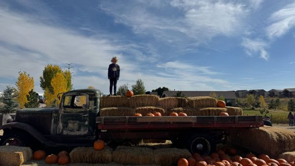 LONG NECK PUMPKIN FARM - Updated December 2025 - 83 Photos & 19 Reviews ...