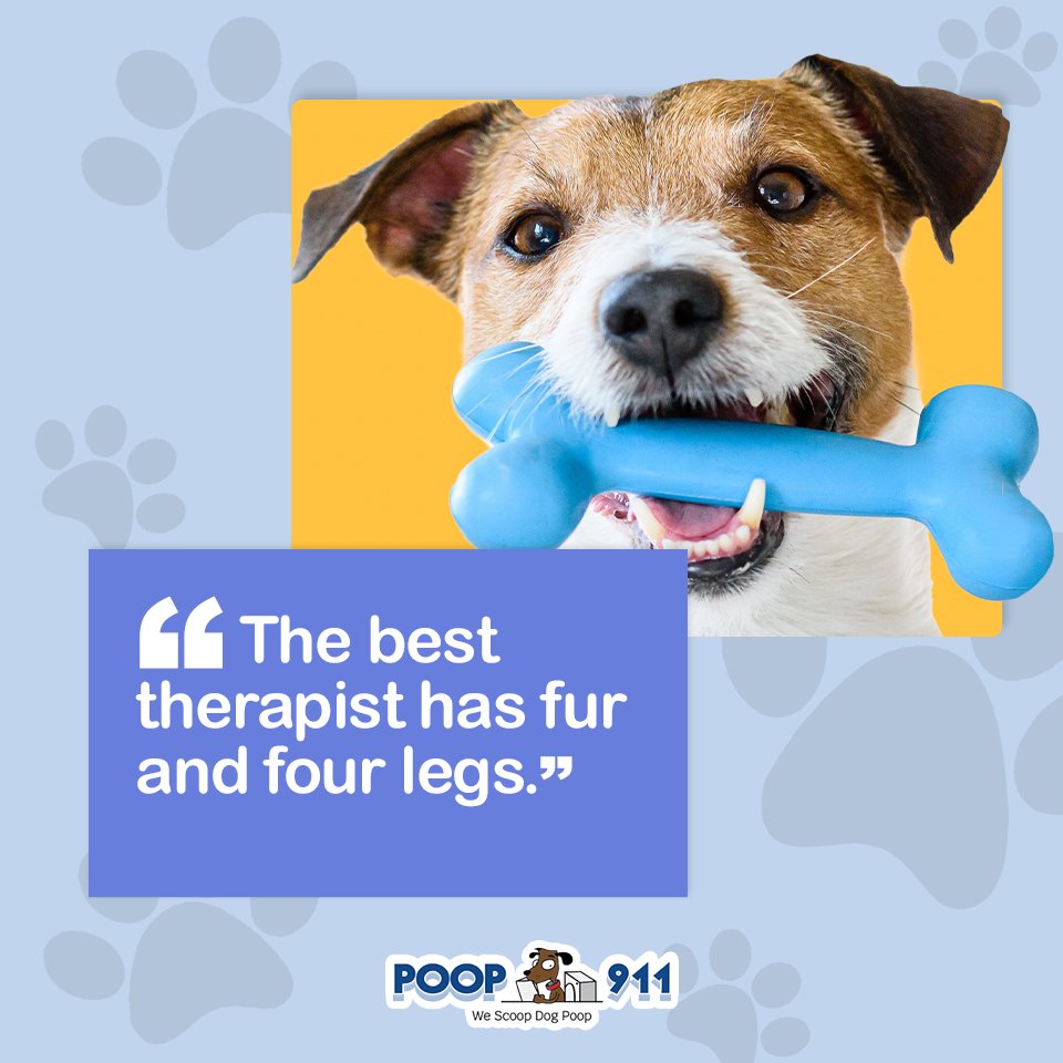 POOP 911 Cherry Valley - Same Day Service Available - Updated April ...