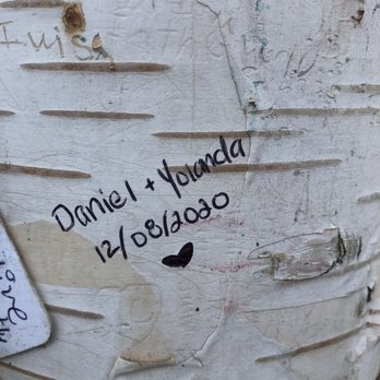 THE WISHING TREE - Updated October 2025 - 54 Photos & 11 Reviews - 2954 ...