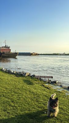 THE BATTURE - Updated July 2025 - 25 Walnut St, New Orleans, Louisiana ...