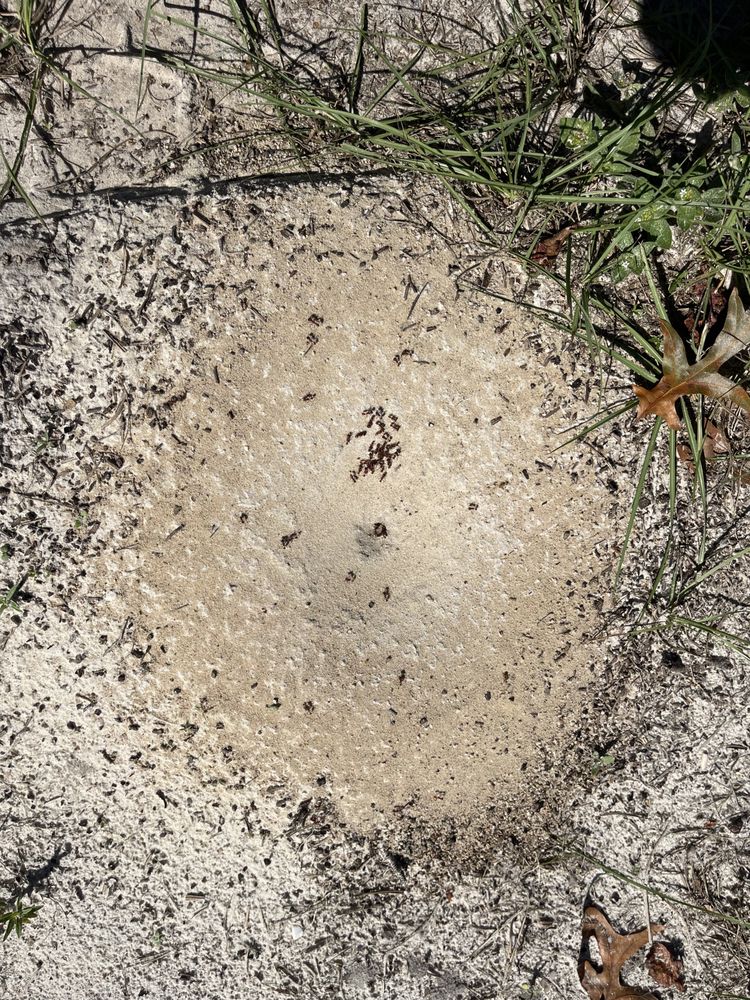 KILL A BUG - Updated September 2025 - 44 Photos - 994 Otter Creek Dr ...