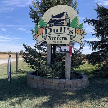 DULL’S TREE FARM - Updated December 2025 - 114 Photos & 56 Reviews ...