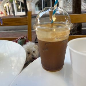 CALISTA CAFE - 13 Photos - 3333 Rice St, Miami, Florida - Cafes ...