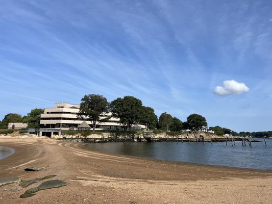 THE CONNECTICUT HOSPICE - Updated December 2025 - 70 Photos & 20 ...