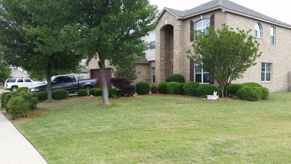 MOW MANAGERS - Updated July 2025 - 20 Photos - Houston, Texas - Lawn ...