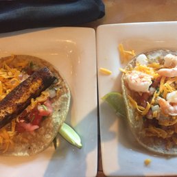 BRIGANTINE - Updated August 2025 - 836 Photos & 637 Reviews - 13445 ...