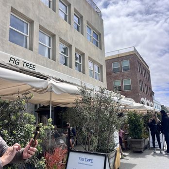 FIG TREE VENICE - Updated October 2025 - 1199 Photos & 748 Reviews ...