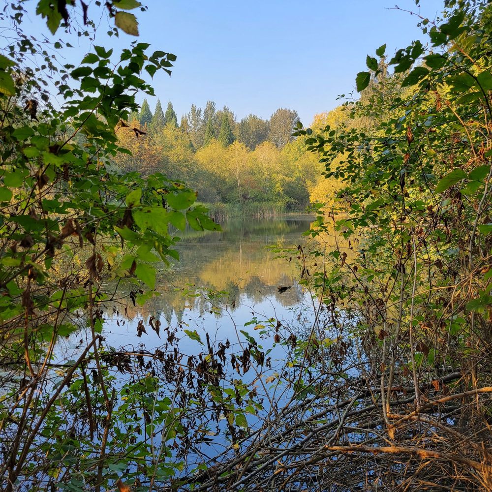 WEST HYLEBOS WETLANDS PARK - Updated June 2026 - 135 Photos & 36 ...