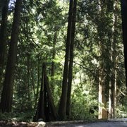 LAKE PADDEN PARK - 94 Photos & 48 Reviews - 4882 Samish Way, Bellingham ...