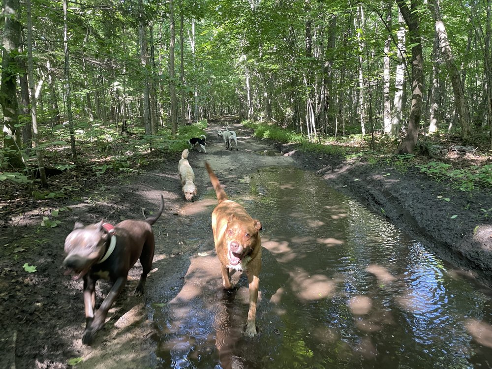 PAWS ON THE RUN - Updated December 2025 - Request Information - Smiths ...