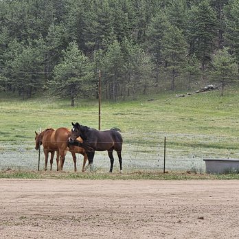 M LAZY C RANCH - Updated December 2025 - 155 Photos & 35 Reviews - 801 ...