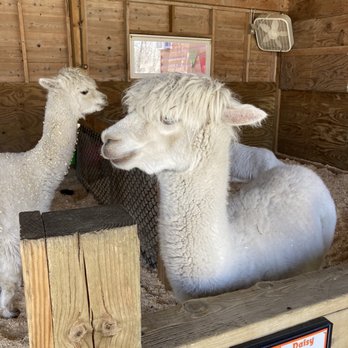 PINE GROVE ZOO - Updated October 2025 - 15 Photos - 1200 W Broadway ...