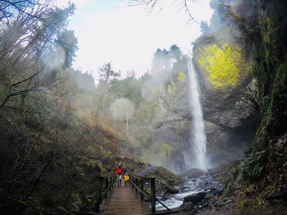 GUY W TALBOT STATE PARK - Updated August 2024 - 38 Photos - 42746 NE ...