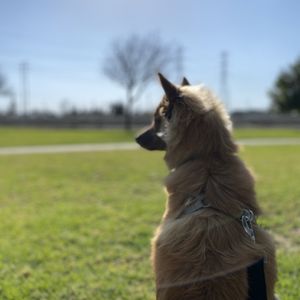 RIVER WALK PARK - 139 Photos & 52 Reviews - Disc Golf - 7674 Soaring ...