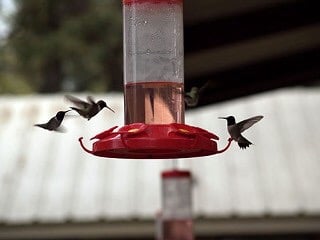 HUMMER HOUSE WITH BED & BREAKFAST - Updated July 2025 - 21301 Toe Nail ...