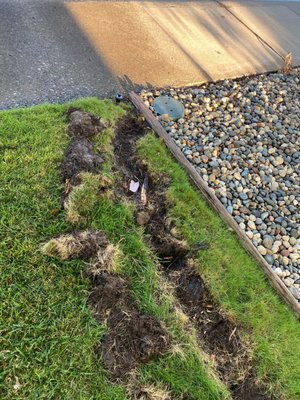 FIDIUM FIBER - Updated December 2025 - 86 Reviews - Roseville ...