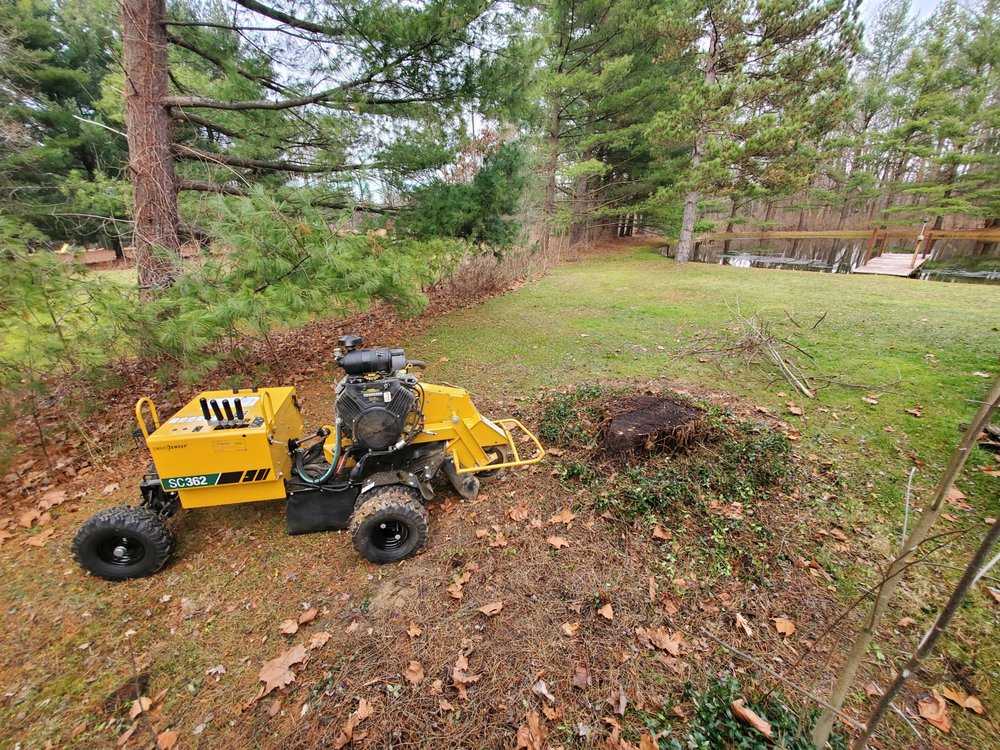 EAGLE VALLEY STUMP REMOVAL & LAND CARE - Updated August 2025 - 3660 ...