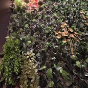 TAI ME UP - 73 Photos & 31 Reviews - Thai - 301 Bridge St, Phoenixville ...