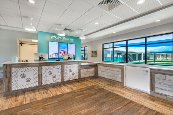 PET PARADISE - Updated December 2025 - 12 Photos - 951 Roberts Branch ...