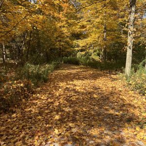 HERITAGE PARK - 123 Photos & 13 Reviews - 1150 S Canton Center Rd ...