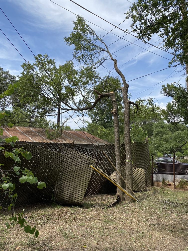 WRIGHT TREE SERVICE - Updated August 2025 - 706 W Ben White Blvd ...