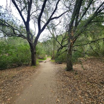 WHITING RANCH WILDERNESS PARK - Updated April 2025 - 899 Photos & 193 ...