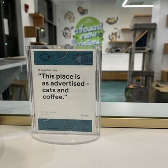 REGAL CAT CAFE - Updated January 2026 - 148 Photos & 44 Reviews - 303 ...