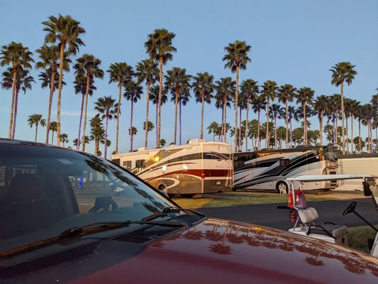 VICTORIA PALMS RV RESORT - Updated January 2026 - 602 N Victoria Rd ...