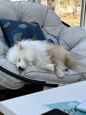 BEEBE HUMANE SOCIETY - Updated December 2025 - 22 Photos - 707 Highway ...