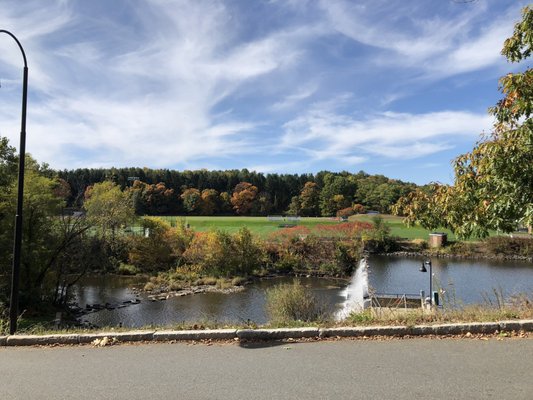 PARADISE POND - Updated January 2026 - Northampton, Massachusetts ...