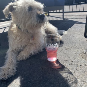 ZYMOS BREWING - Updated August 2025 - 12 Reviews - 5180 S Lowell Blvd ...