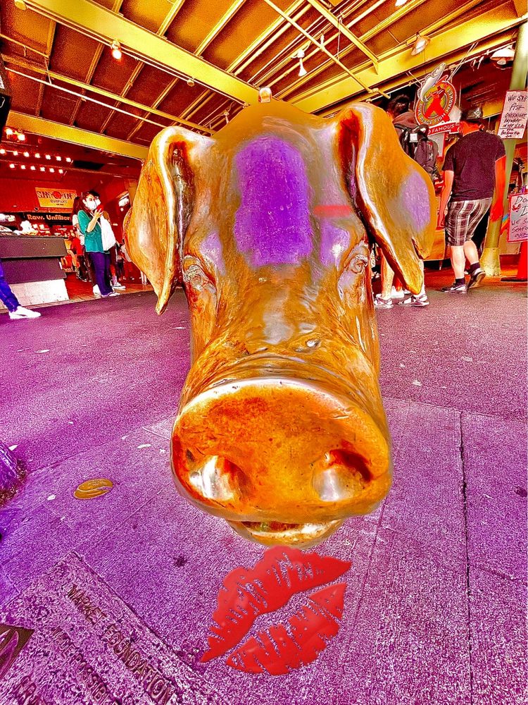 RACHEL THE PIG - Updated February 2025 - 169 Photos & 121 Reviews - 85 ...