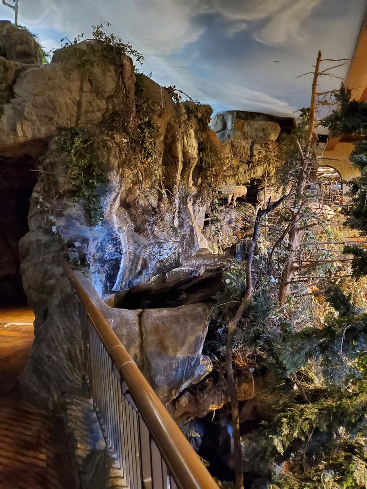 BASS PRO SHOPS - Updated June 2024 - 255 Photos & 19 Reviews - 621 W ...