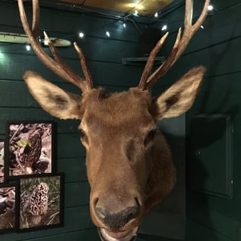 211 BAR & GRILL - Updated October 2025 - 40 Photos & 54 Reviews - 3444 ...