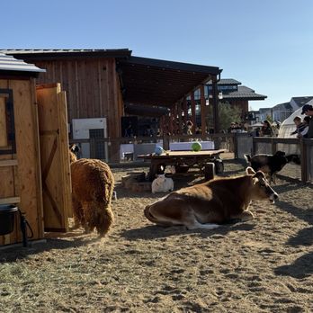 FOX POINT FARMS - Updated March 2025 - 284 Photos & 105 Reviews - 1200 ...