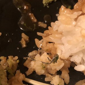 CHINA STAR - 18 Reviews - 1370 Pennsylvania Ave, Brooklyn, New York ...