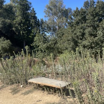 FRYMAN CANYON PARK - Updated October 2025 - 326 Photos & 119 Reviews ...
