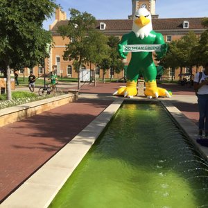 UNIVERSITY OF NORTH TEXAS - 230 Photos & 61 Reviews - 1155 Union Cir ...