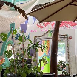 FLAMINGO ROW - Updated December 2025 - 181 Photos & 273 Reviews - 2640 ...