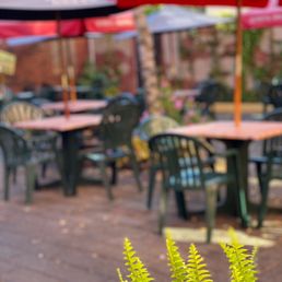 THE KNICKERBOCKER TAVERN - Updated July 2025 - 228 Photos & 255 Reviews ...