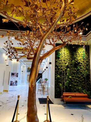 CHEZ HOTEL - 94 Photos & 78 Reviews - 519 W Algonquin Rd, Arlington ...