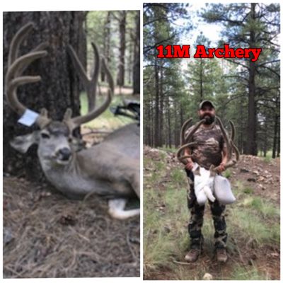 ONE SHOT GUIDE SERVICE - Updated October 2025 - 17 Photos - 1619 Iris ...