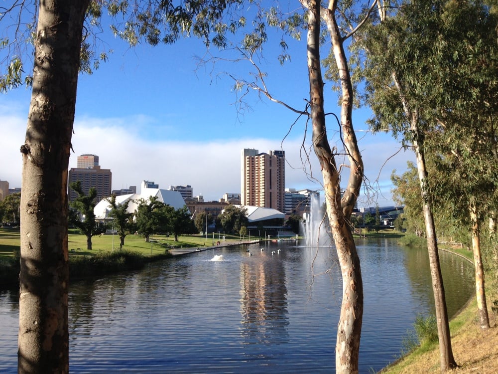 RIVER TORRENS - 23 Photos - Lakes - Victoria Dr, Adelaide South ...