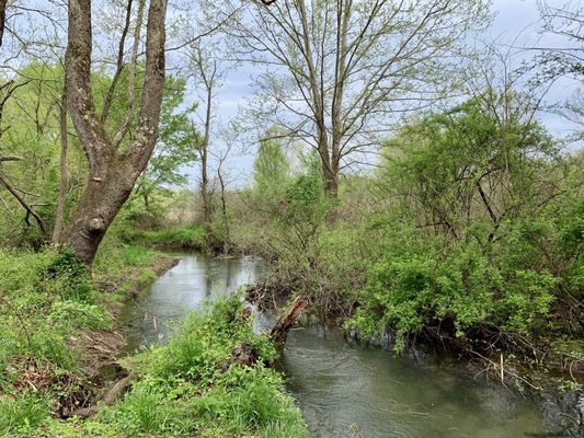 COOL SPRING PRESERVE - Updated August 2025 - 20 Photos - 1469 Lloyd Rd ...