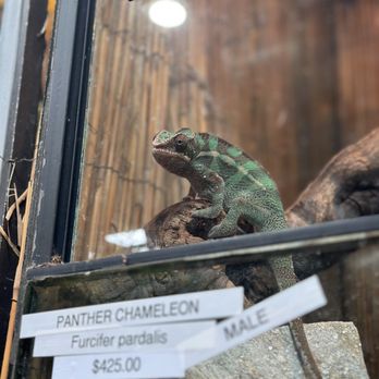 EAST BAY VIVARIUM - Updated January 2026 - 726 Photos & 619 Real ...